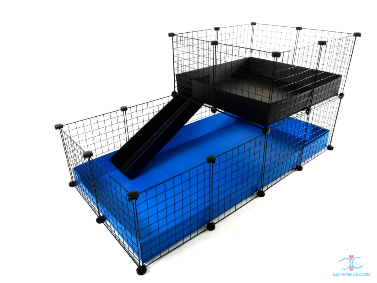 C&C Cage 4x2 + Loft 2x2 + Ramp > candcmodularcages.eu